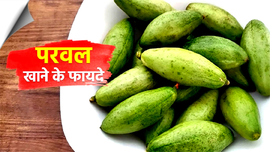 Health Benefits of Pointed Gourd, Uses And Its Side Effects - Media India